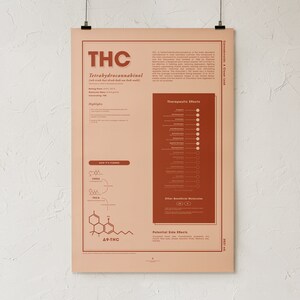 THC: A Closer Look Print, Cannabinoid Infographic Chart, Medical ...