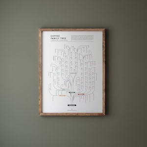 Coffee Family Tree Print, Coffee Varieties Chart, Rubiaceae Lineage ...