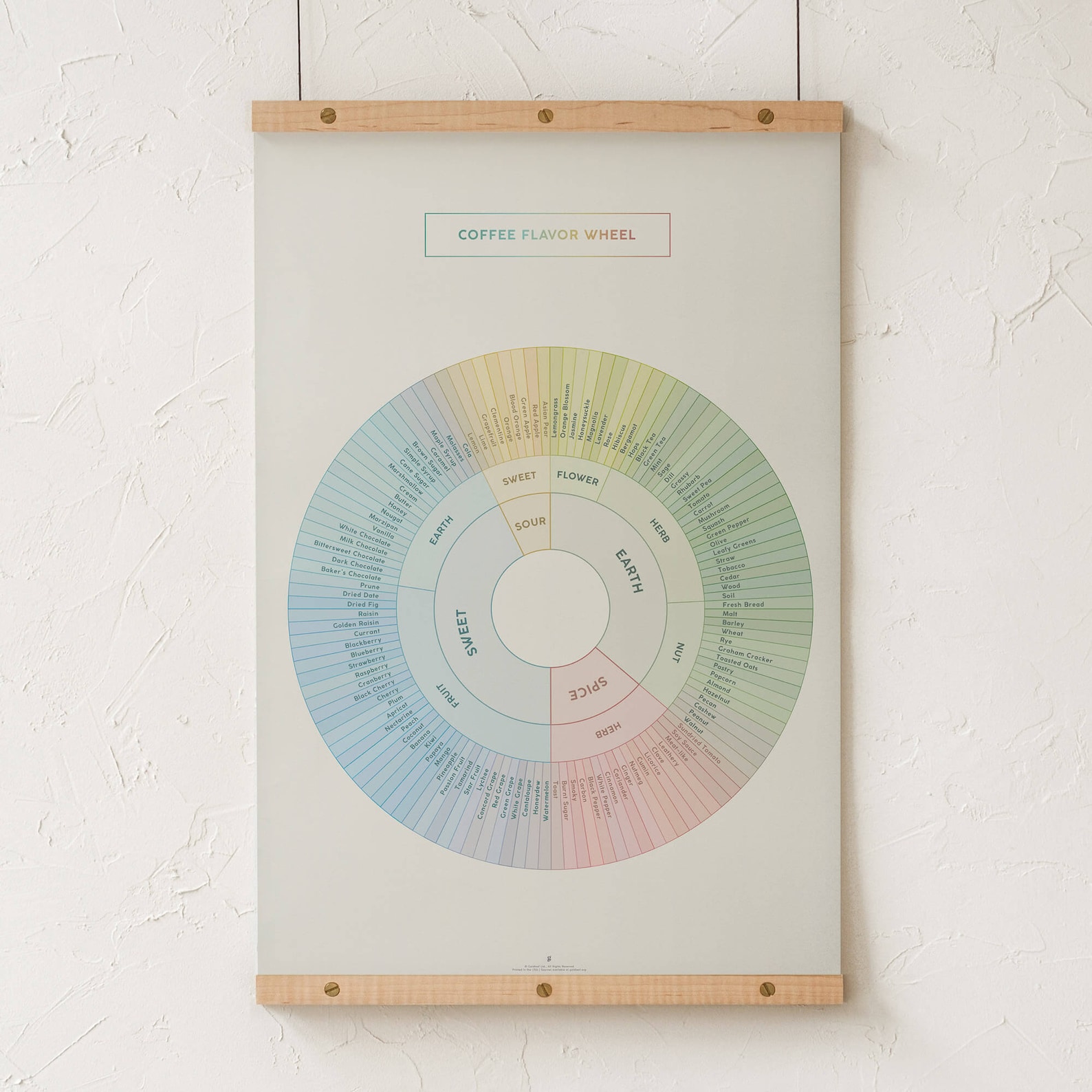 Coffee Flavor Wheel Chart Print, Coffee Flavors Infographic Poster ...