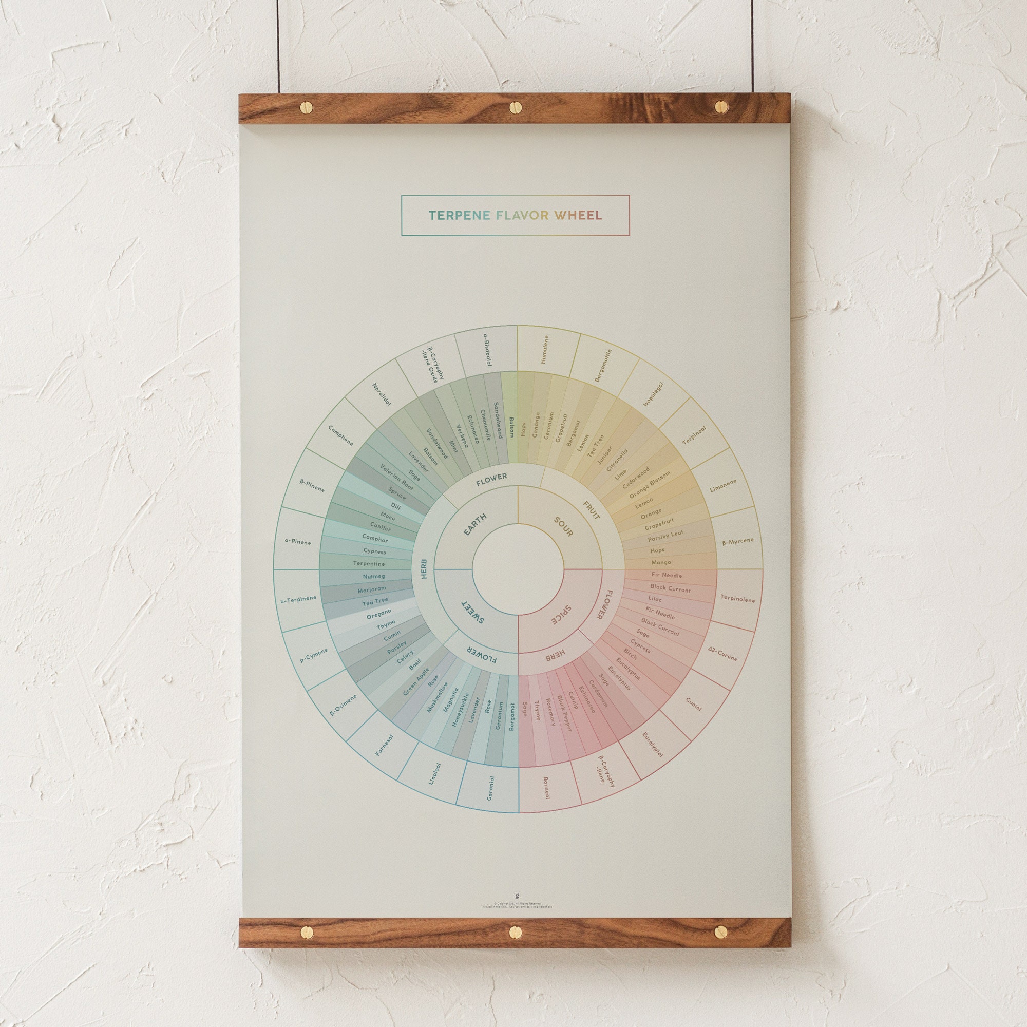 Terpene Flavor Wheel Diagram Chart of Terpene Aroma Print | Etsy
