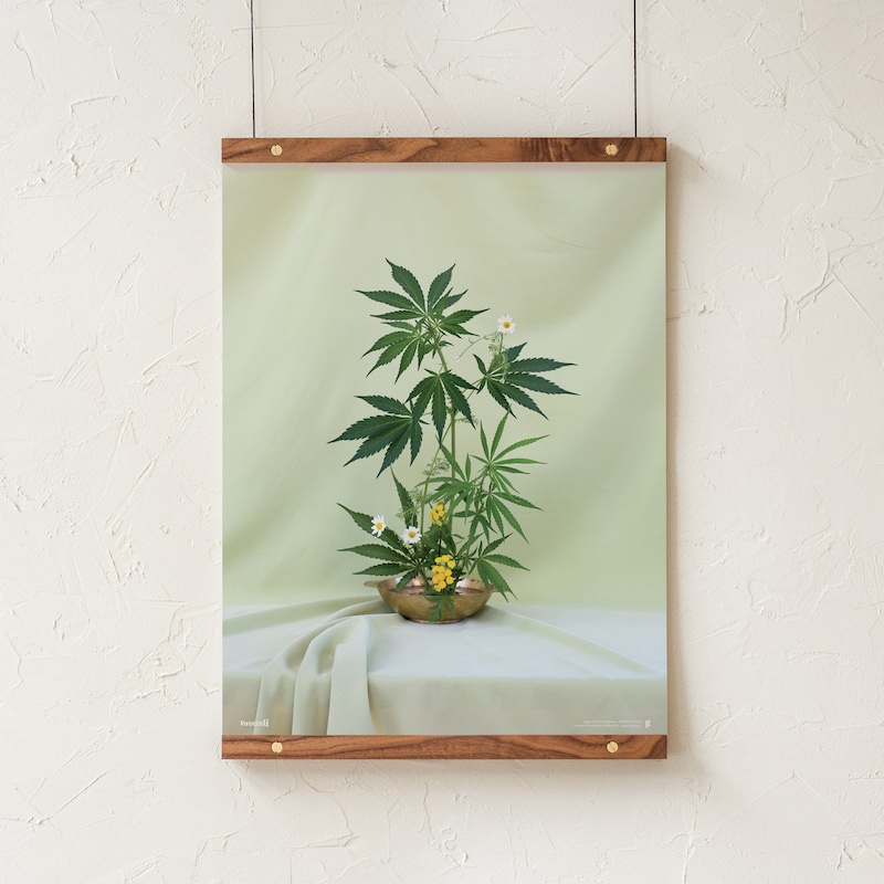Cannabis Decor - Etsy