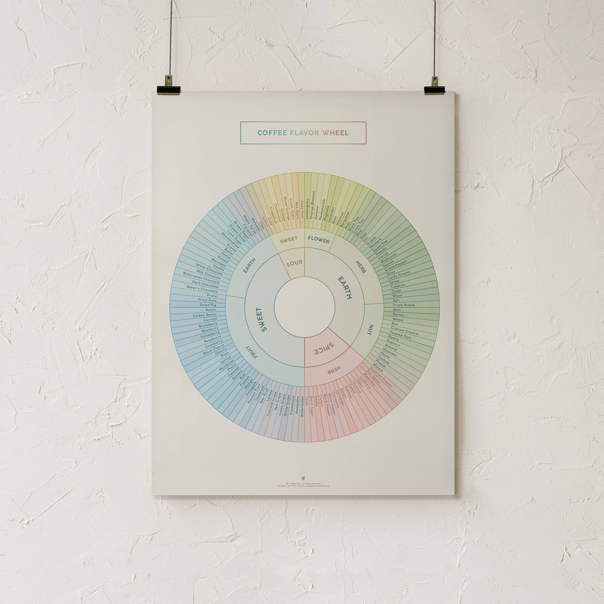 Coffee Flavor Wheel Chart Print, Coffee Flavors Infographic Poster ...