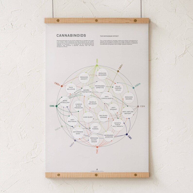 Cannabinoid Health Matrix Chart, Medical Marijuana Infographic Print ...