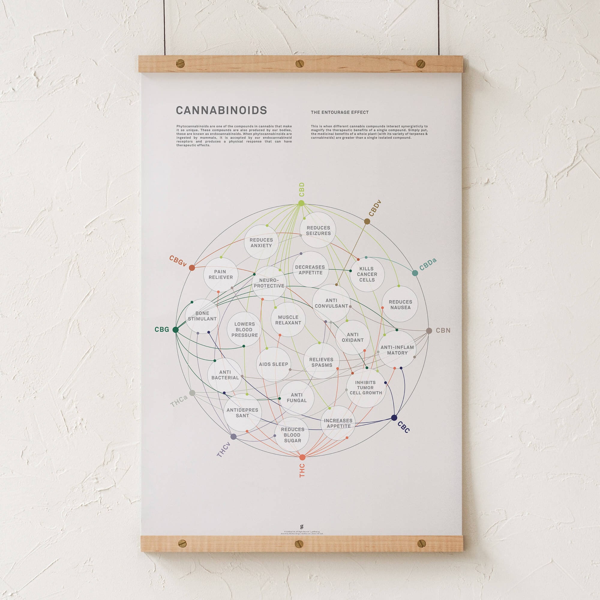 Cannabinoid Health Matrix Chart, Medical Marijuana Infographic Print ...