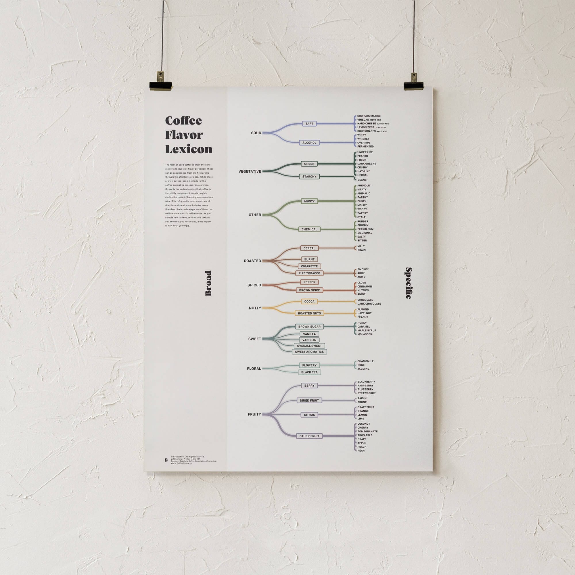 Coffee Flavor Lexicon Chart Print Tasting Word Guide Coffee | Etsy