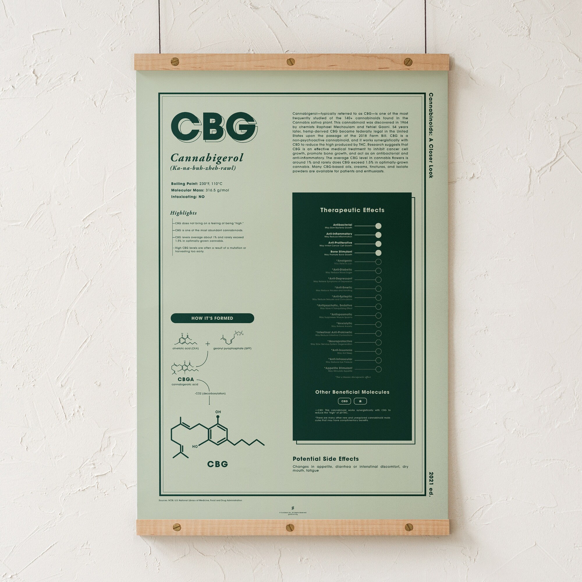 CBG: A Closer Look Print Cannabinoid Infographic Chart - Etsy