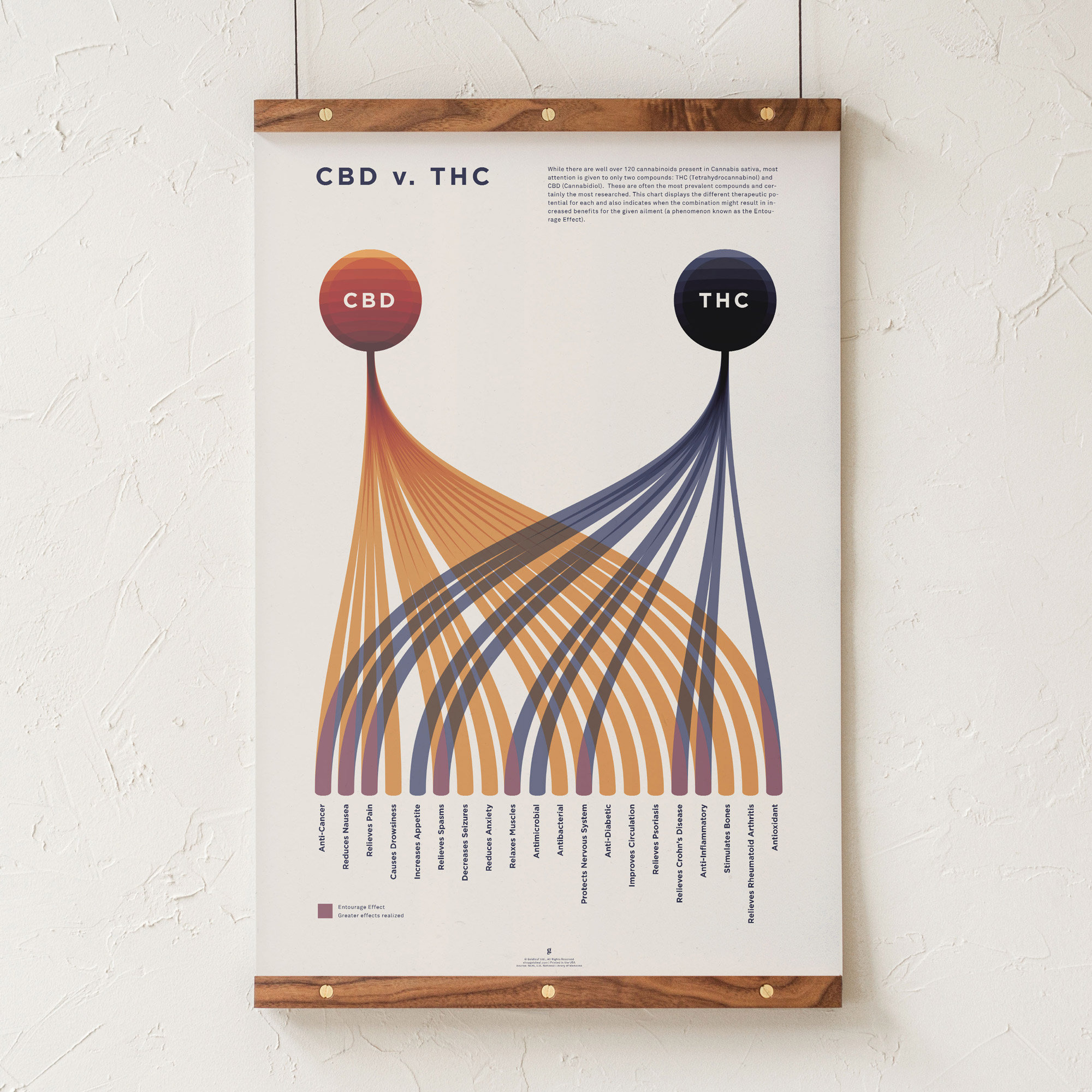 CBD V. THC Comparison Chart Common Cannabinoid Infographic - Etsy