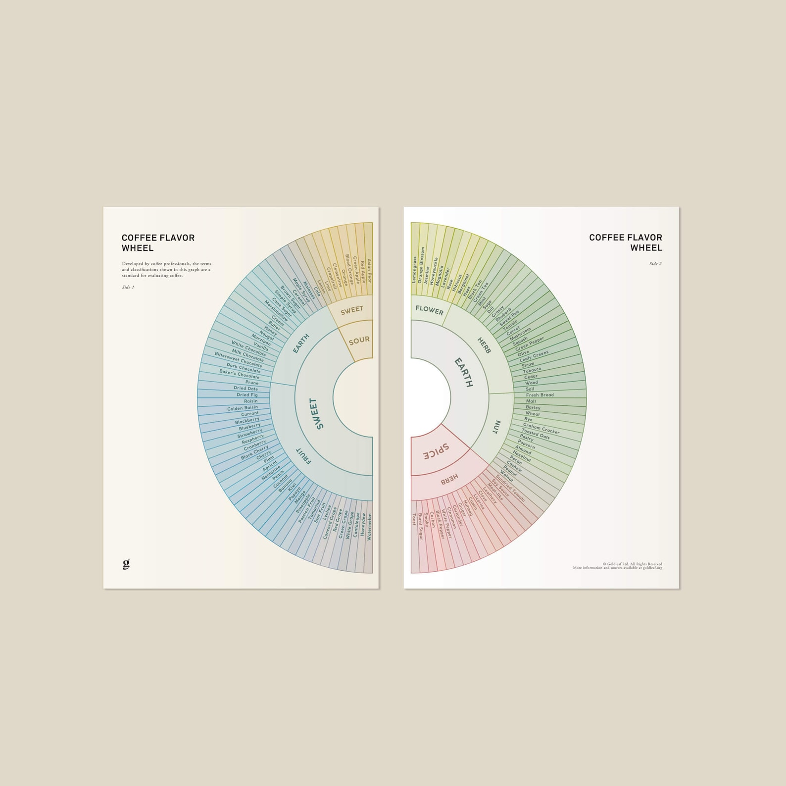 Coffee Reference Card Deck, 4 Dual-sided Charts About Coffee Science ...