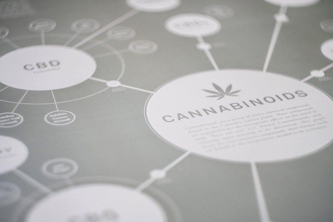 Chart of Cannabinoids Print, Cannabinoid Effects Infographic Poster ...