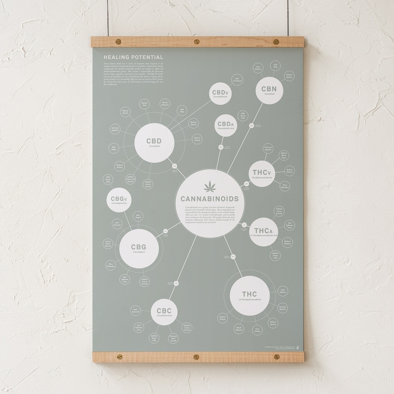 Cannabinoid Effects Chart, Medical Marijuana Art, Educational Print - Etsy