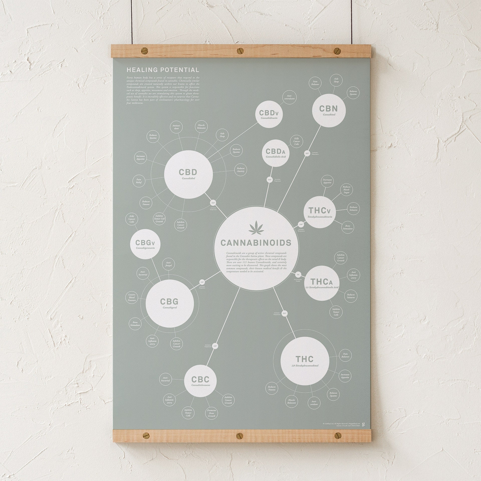 Chart of Cannabinoids Print Cannabinoid Effects Infographic | Etsy