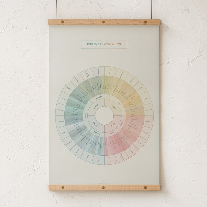 Terpene Flavor Wheel Diagram, Chart of Terpene Aroma Print, Cannabis ...