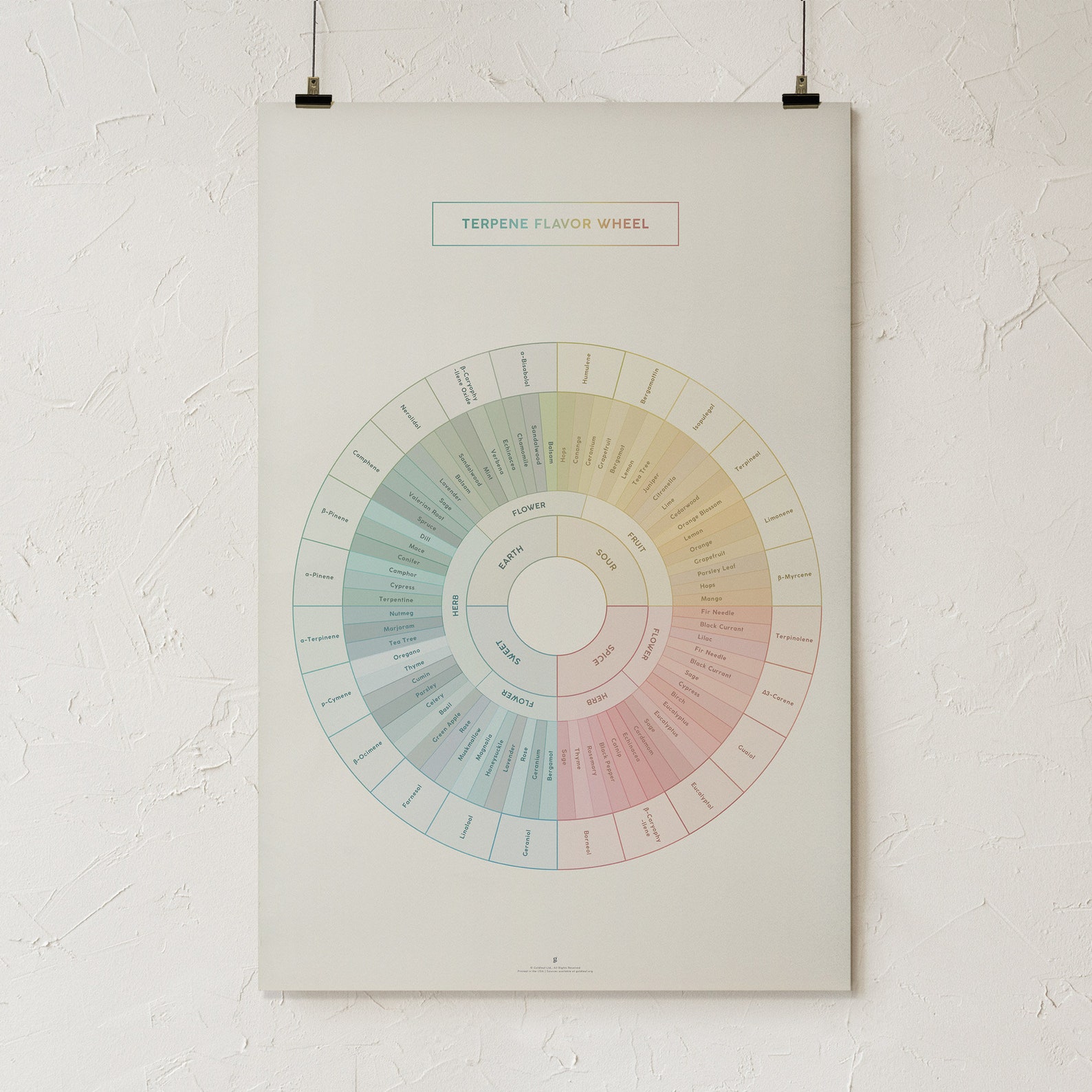 Terpene Flavor Wheel Diagram Chart of Terpene Aroma Print - Etsy