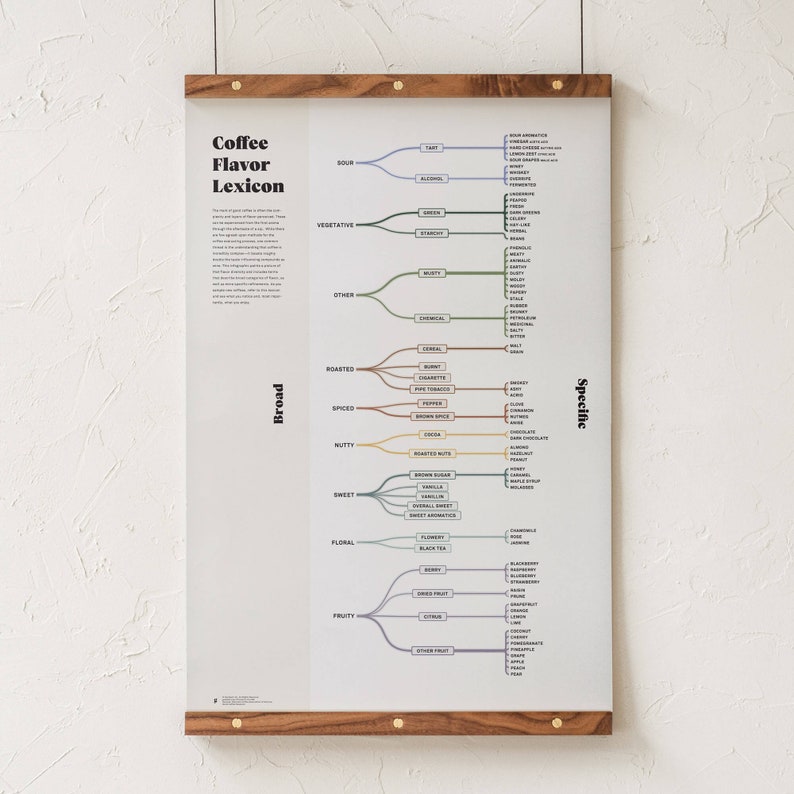 Coffee Flavor Lexicon Chart Print, Tasting Word Guide Coffee Poster ...