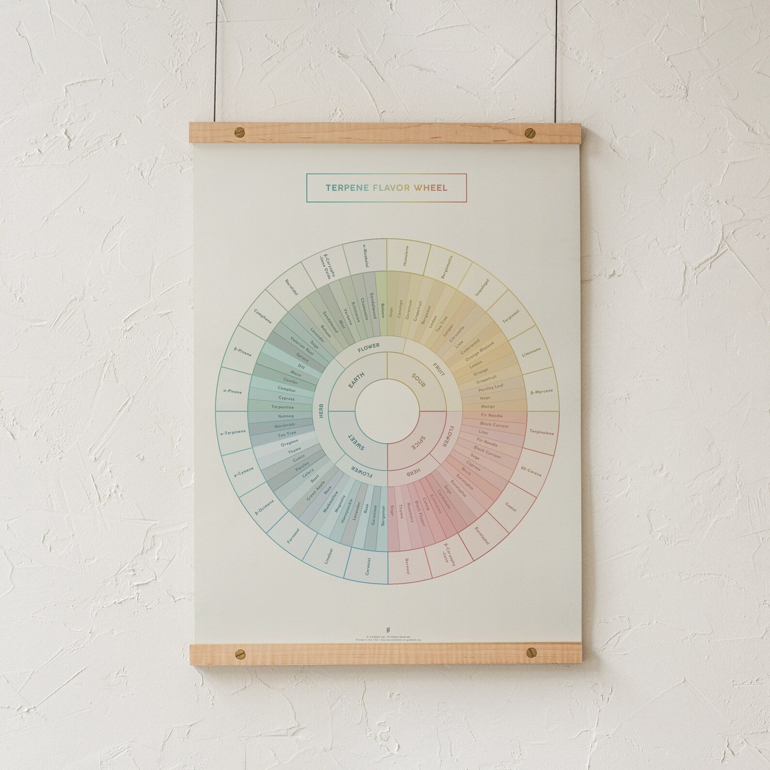 Terpene Flavor Wheel Diagram Chart of Terpene Aroma Print | Etsy