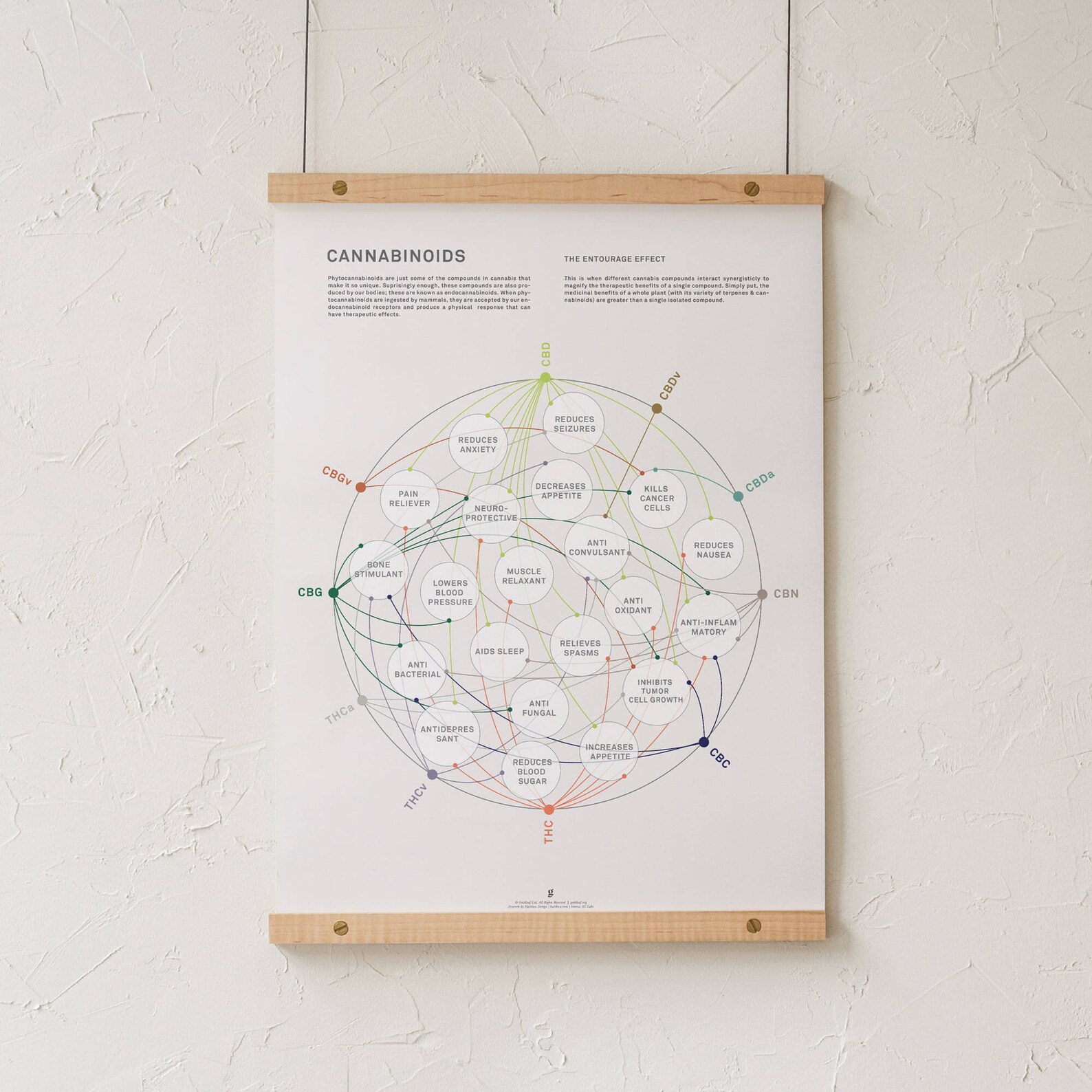Cannabinoid Health Matrix Chart, Medical Marijuana Infographic Print ...