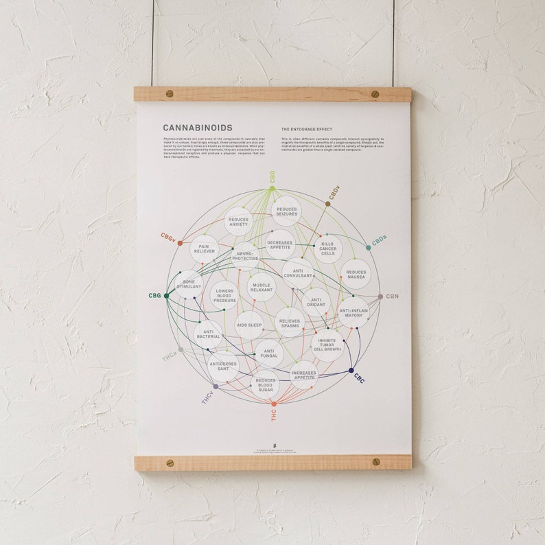 Cannabinoid Health Matrix Chart Medical Marijuana Infographic - Etsy