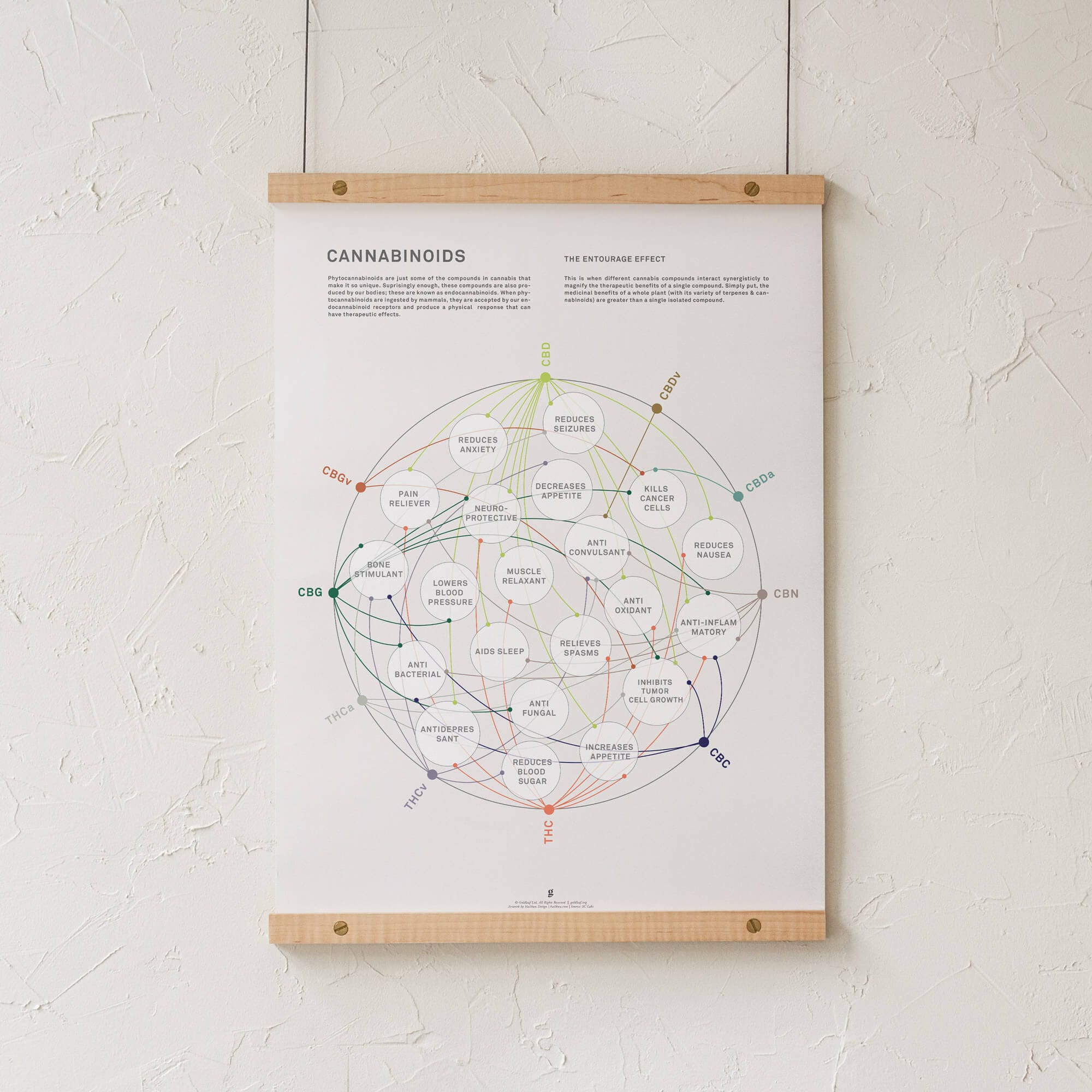 Cannabinoid Health Matrix Chart Medical Marijuana Infographic - Etsy