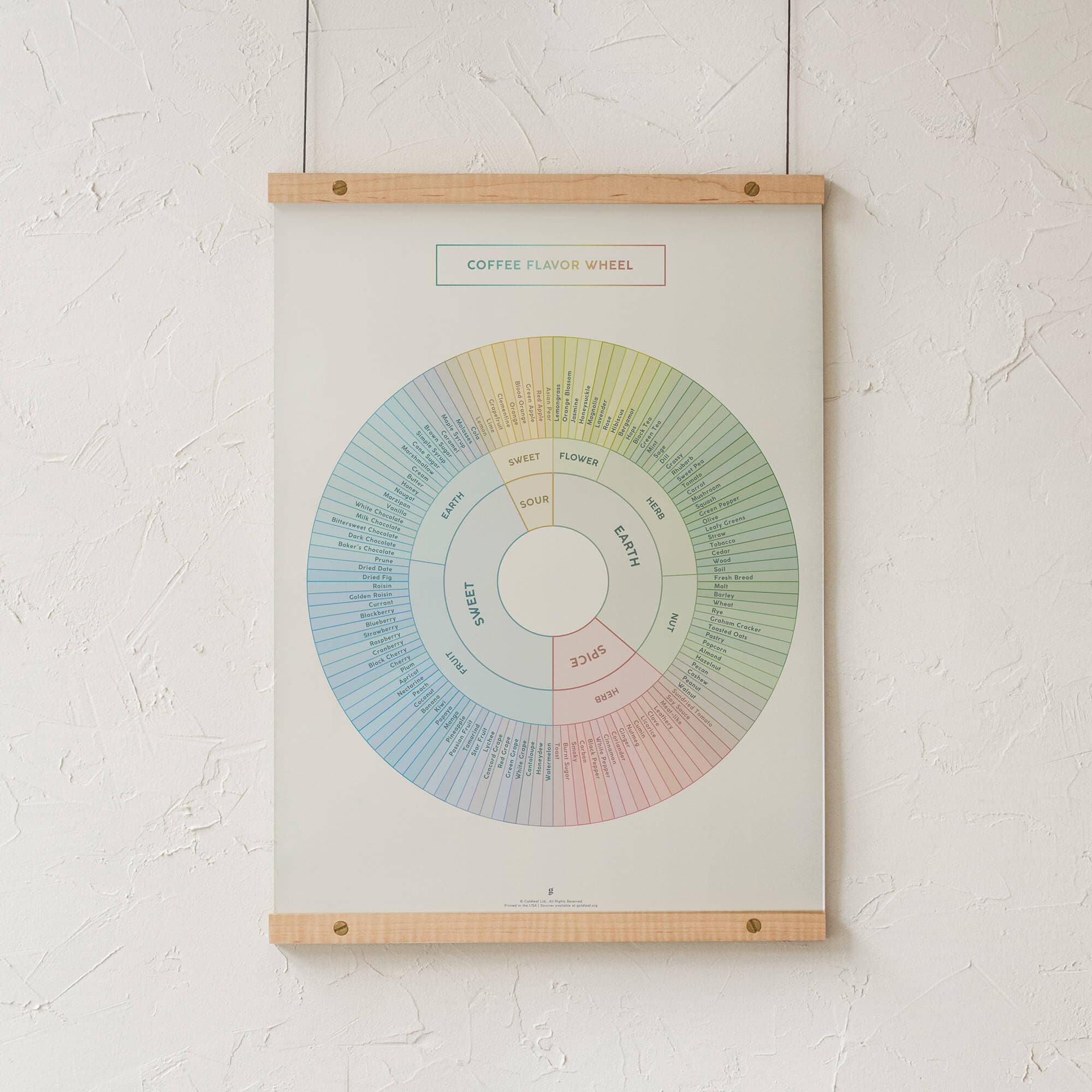 Coffee Flavor Wheel Chart Print Coffee Flavors Infographic - Etsy UK