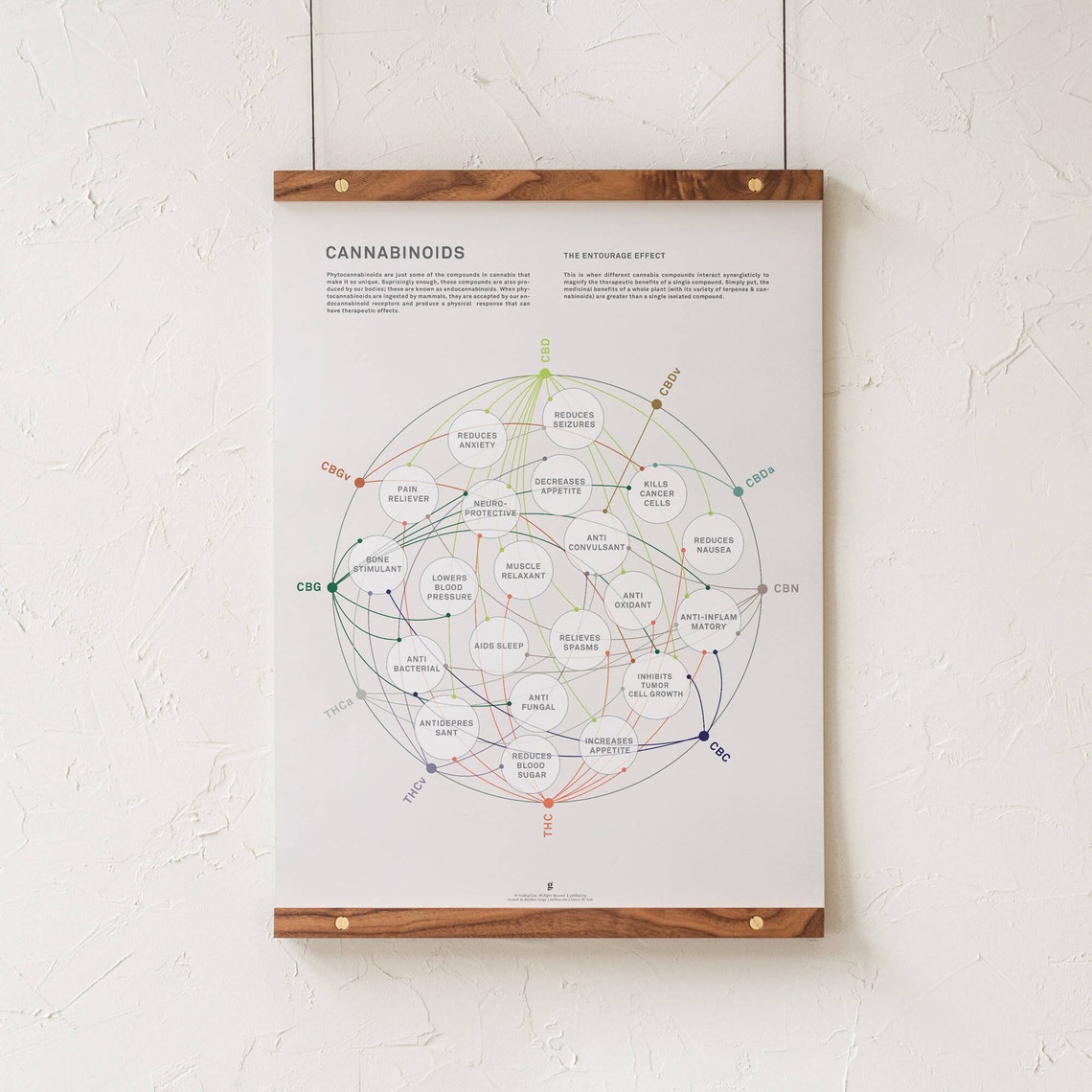 Cannabinoid Health Matrix Chart, Medical Marijuana Infographic Print ...