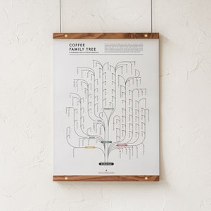 Coffee Family Tree Print, Coffee Varieties Chart, Rubiaceae Lineage ...