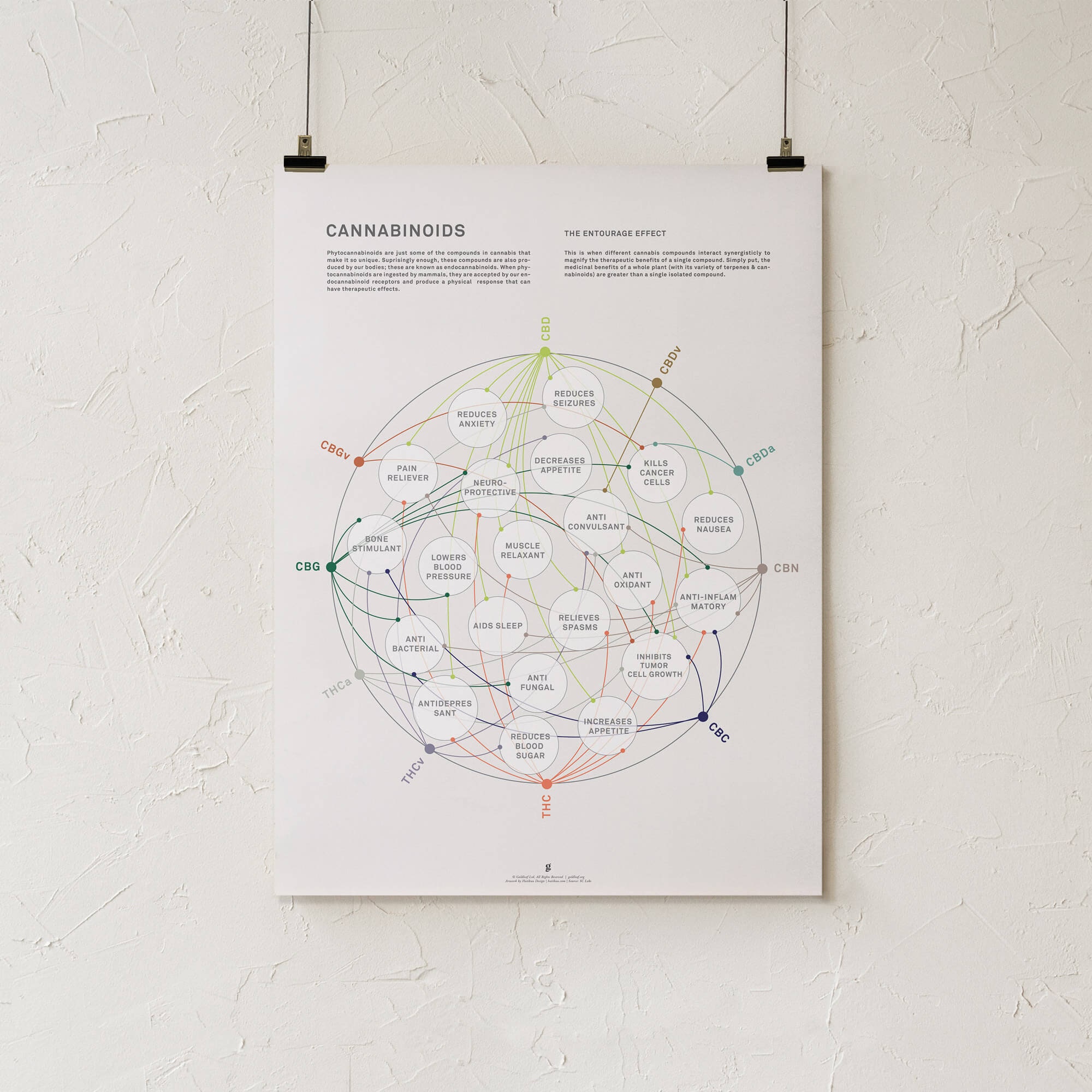 Cannabinoid Health Matrix Chart Medical Marijuana Infographic - Etsy