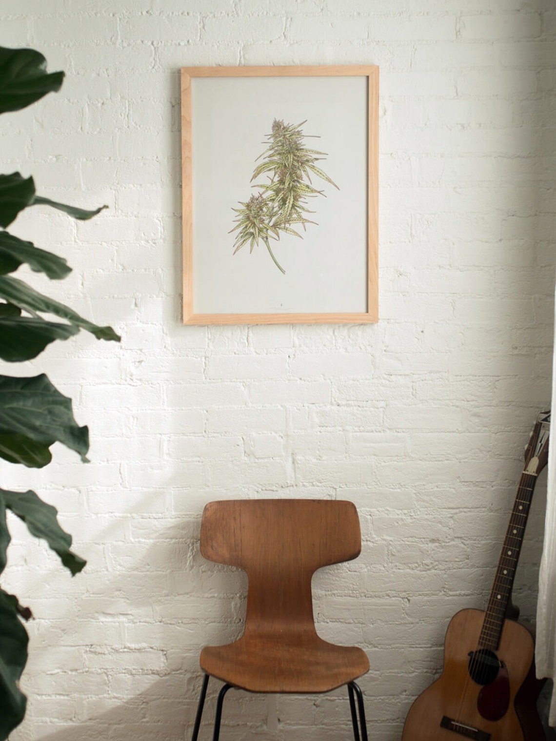 Cannabis Flower Botanical Illustration, Marijuana Scientific Drawing ...