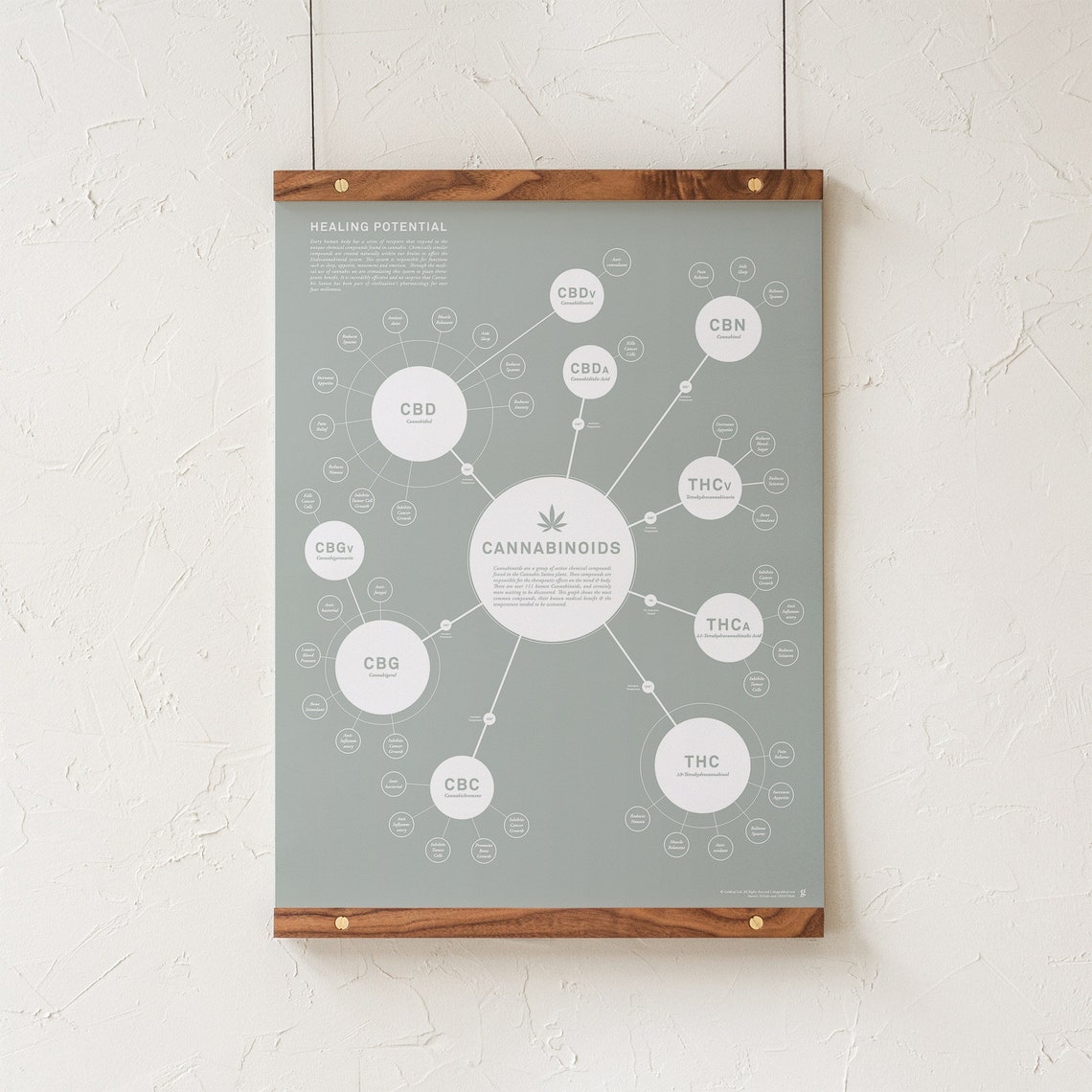Chart of Cannabinoids Print Cannabinoid Effects Infographic | Etsy