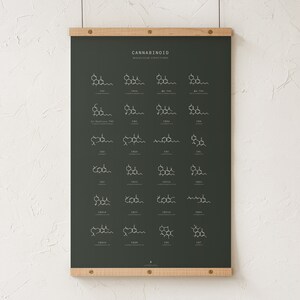 Cannabinoid Molecular Structures Chart, Chemistry of Cannabis Art Print ...