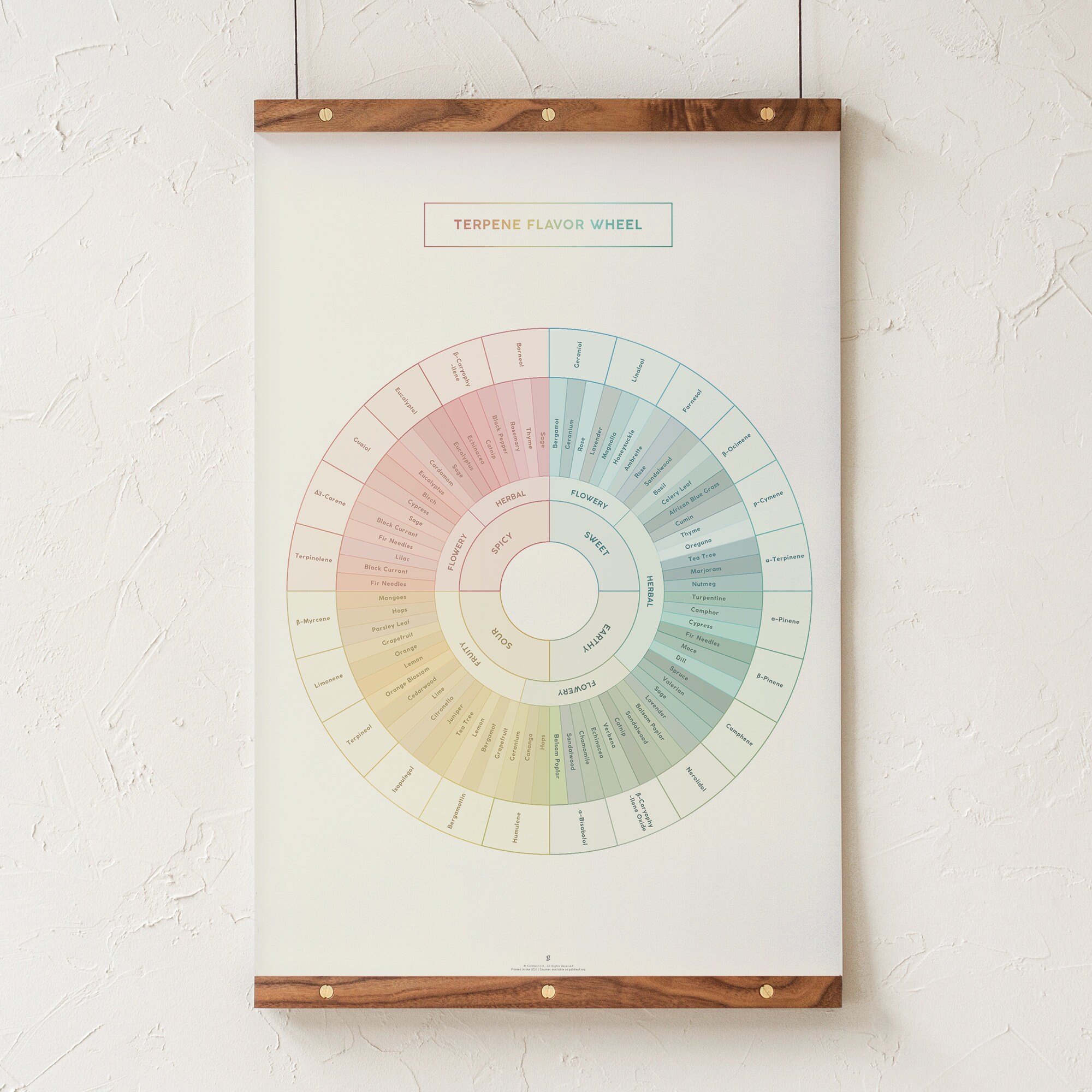Terpene Flavor Wheel Diagram Chart of Terpene Aroma Print by | Etsy