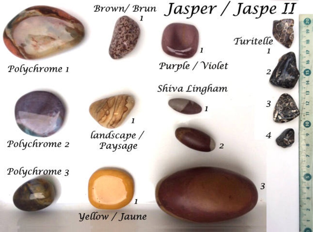 Jasper II 'pebbles & Rolls': Turitella, Shiva Lingham, Polychrome ...
