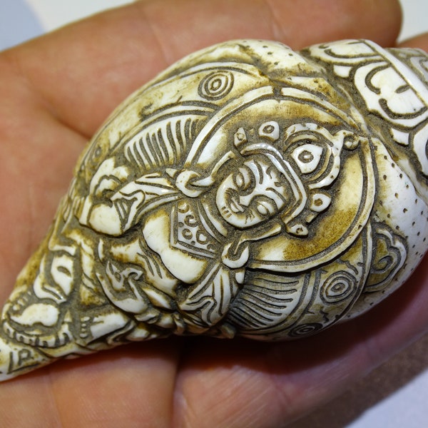 Nepal Conch Shell - Etsy