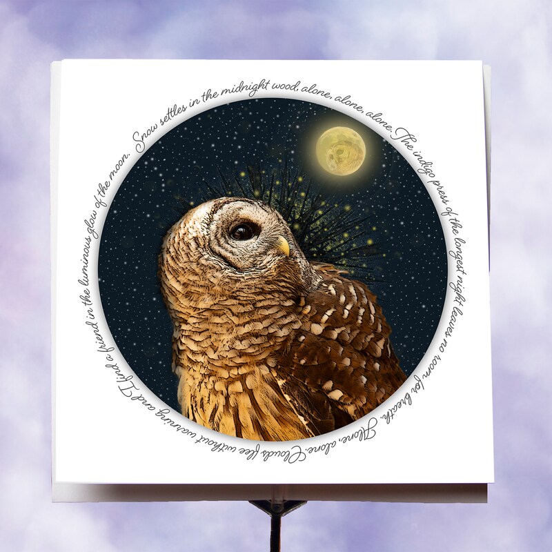 Owl Solstice Cards - Etsy