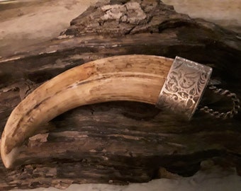 Wild boar teeth | Etsy