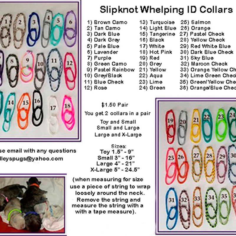 Whelping Collars - Etsy