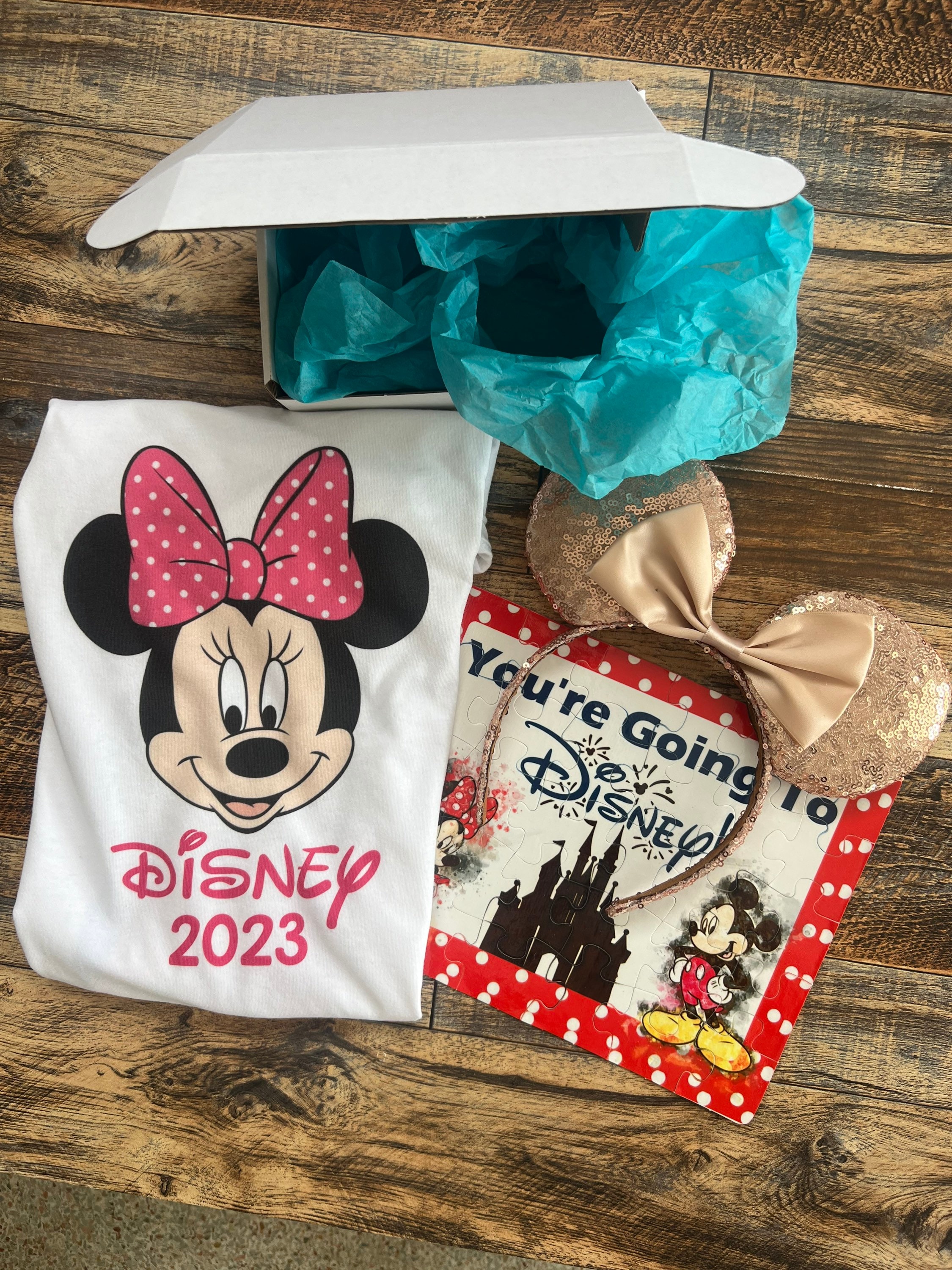 Girls Disney Surprise Trip Box, Disney Box, Cute Disney Box for Gift ...