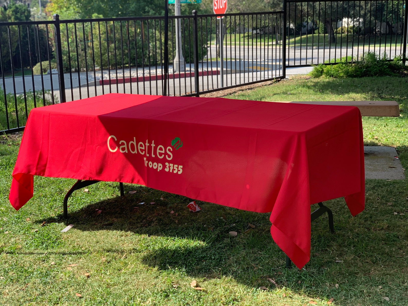 Girl Scout Cadettes Scout tablecloth | Etsy