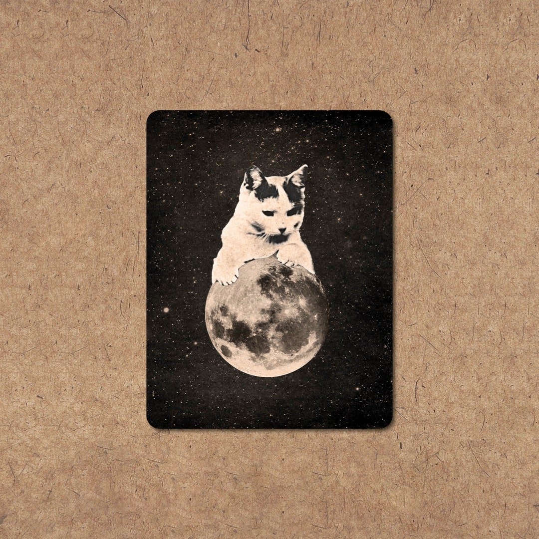 Cat & Moon Sticker • Space Sticker • Laptop Sticker • water Bottle ...