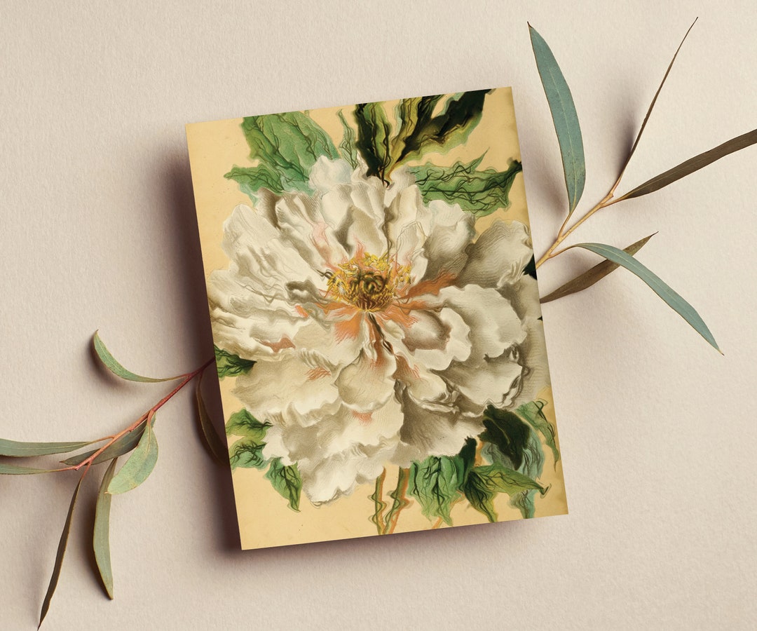 Vintage Flower Card Vintage Botanical Card Plant Card Surreal Floral ...