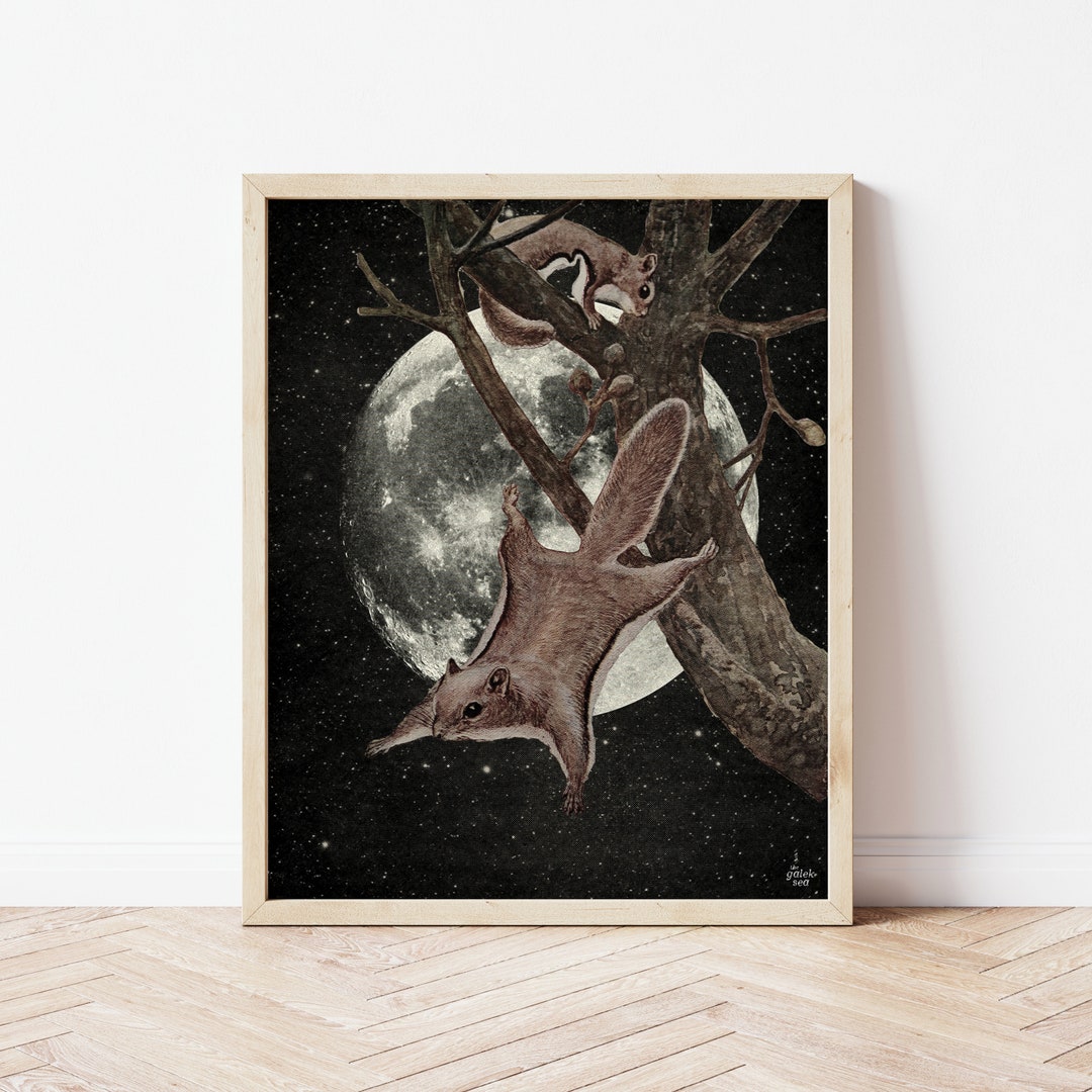 Flying Squirrel Moon Art Print: Animal Collage Artwork (8x10) - Etsy