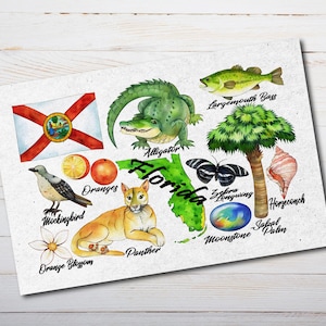 Florida State Postcard - Thick Cardstock - 4x6 - Watercolor - Etsy