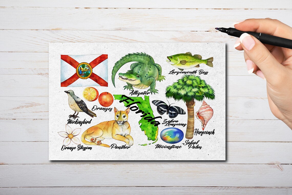 Florida State Postcard - Thick Cardstock - 4x6 - Watercolor - Etsy