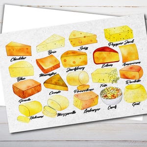Cheese Postcard - Thick Cardstock - Gift for Loved Ones - Etsy
