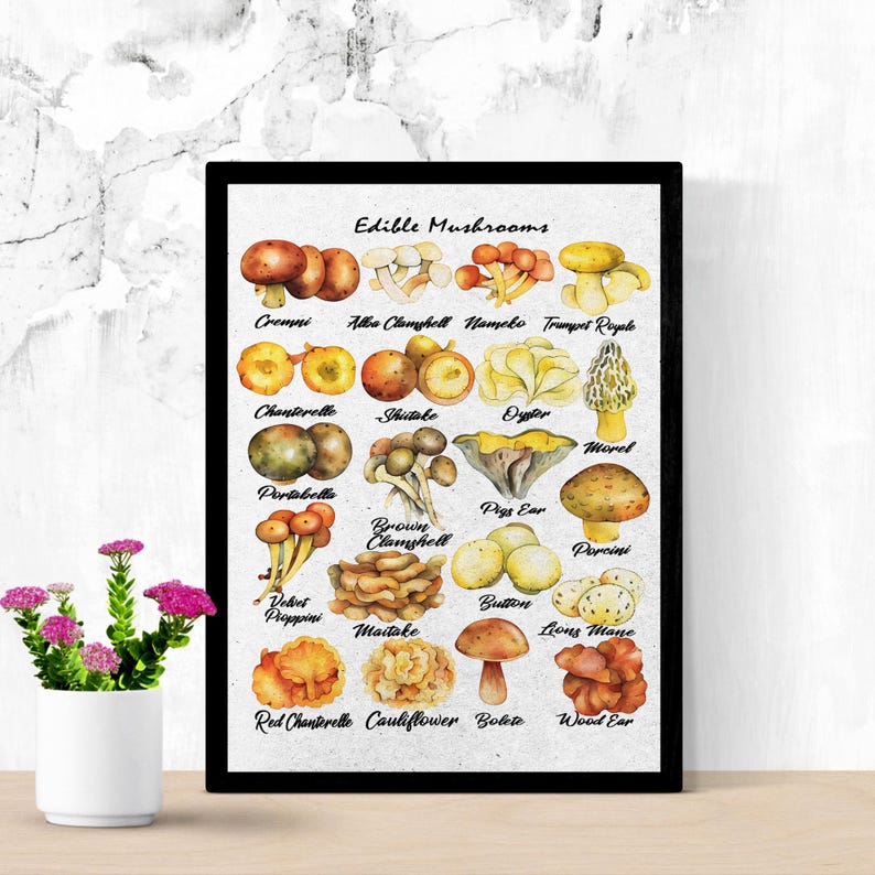 Edible Mushrooms Art Print | 8 X 10 Vintage Kitchen Wall Art | Watercolor Mushroom Poster - Etsy
