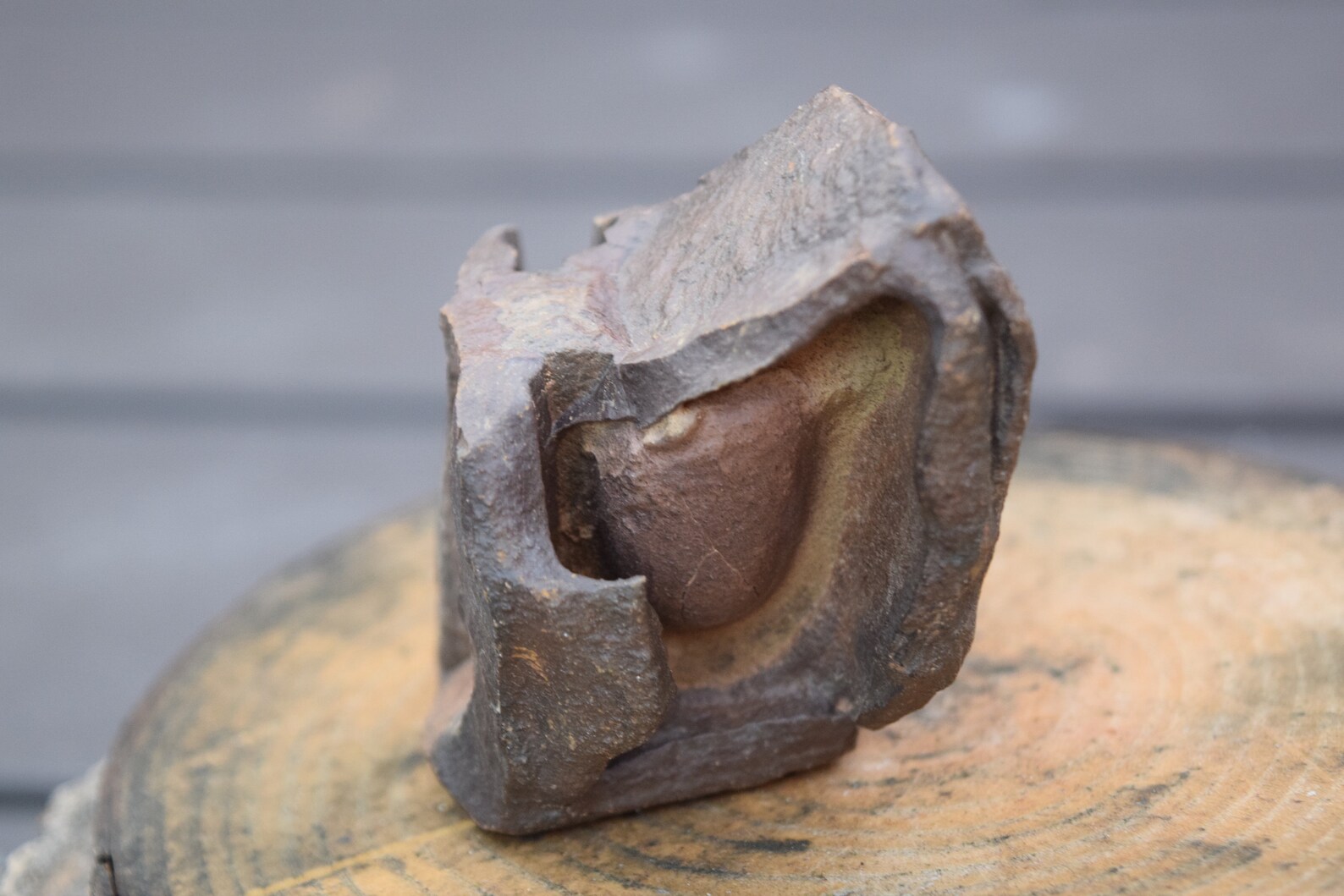 Iron Concretion Prehistoric Mud Regolith Sedimentary Rock Desert Stone ...