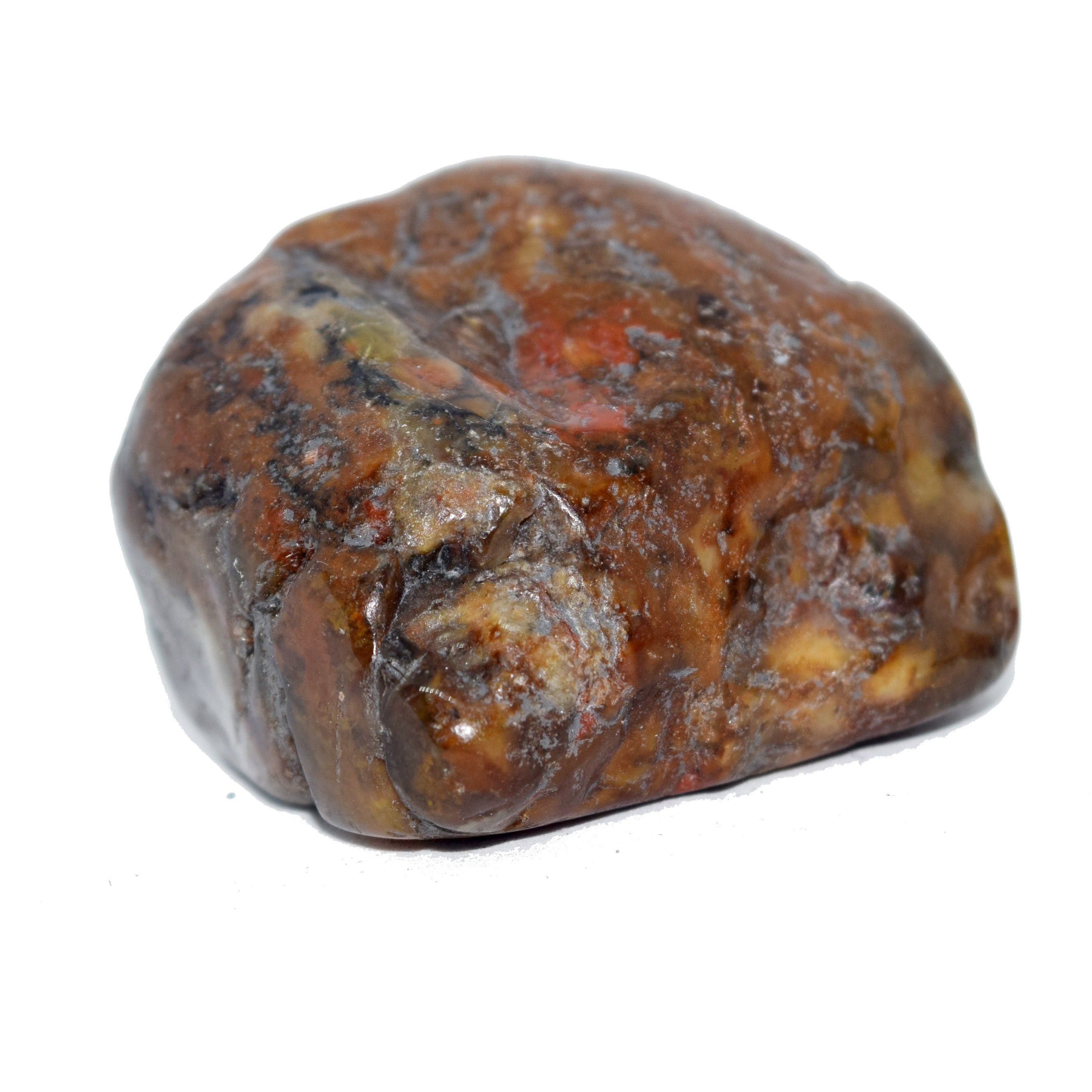 Fossilized Dinosaur Dung