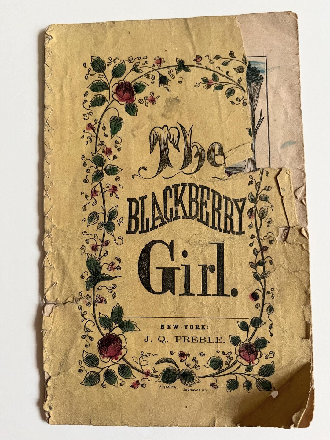 Antique Illustrated Children's Book "the Blackberry Girl", Antiquarian ...