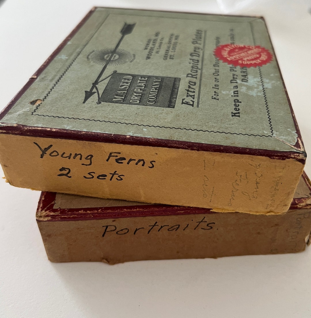 Pair of Dry Plates Boxes boxes Only, Nature, Ferns, Botany, Science ...