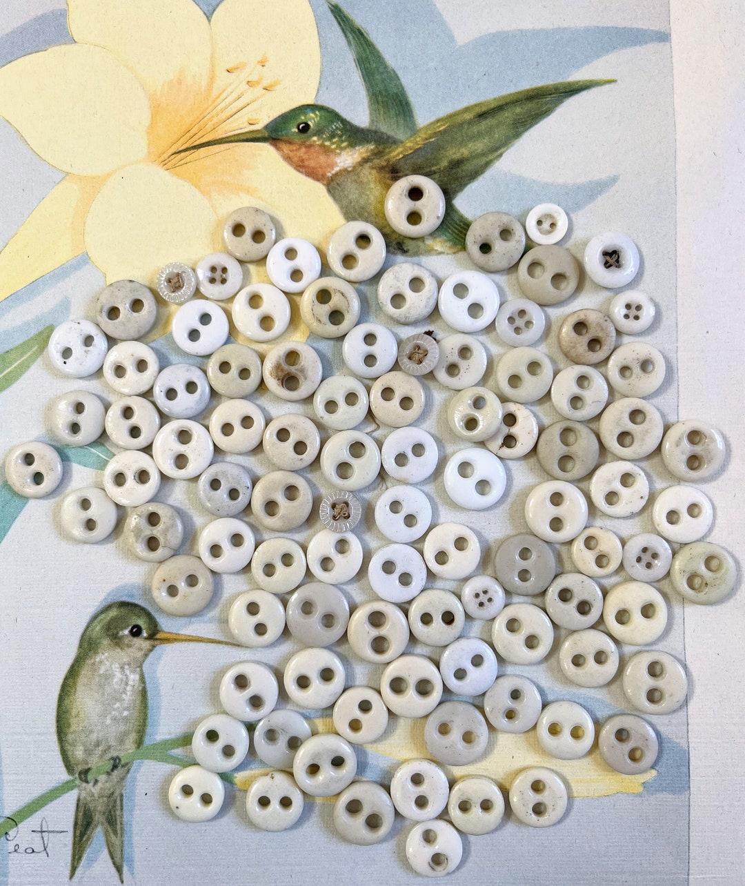 Large Collection of Antique Bone & China Buttons, Victorian, 19th ...