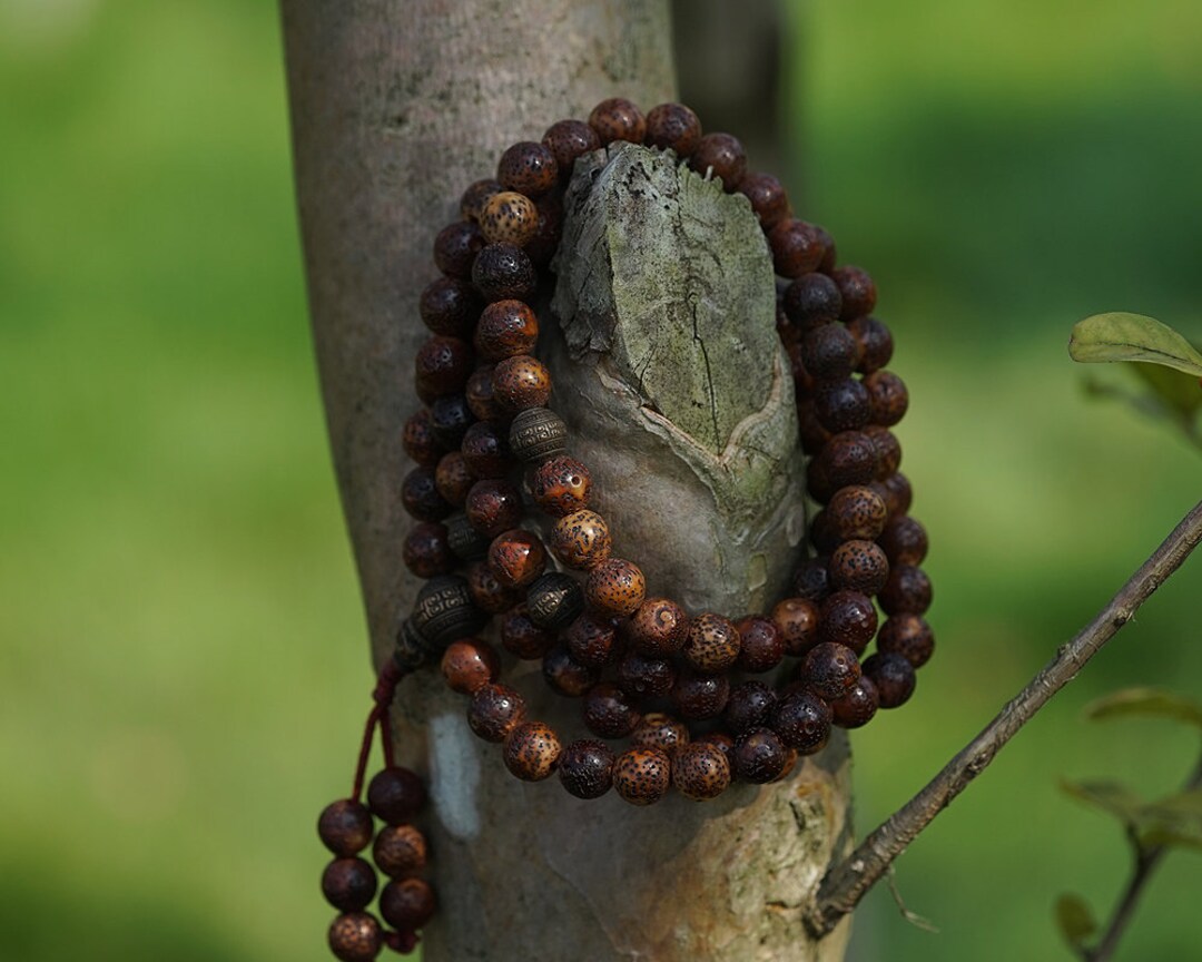 8mm Natural Old Bodhi Seed Bead With Copper Guru Bead . Dark - Etsy